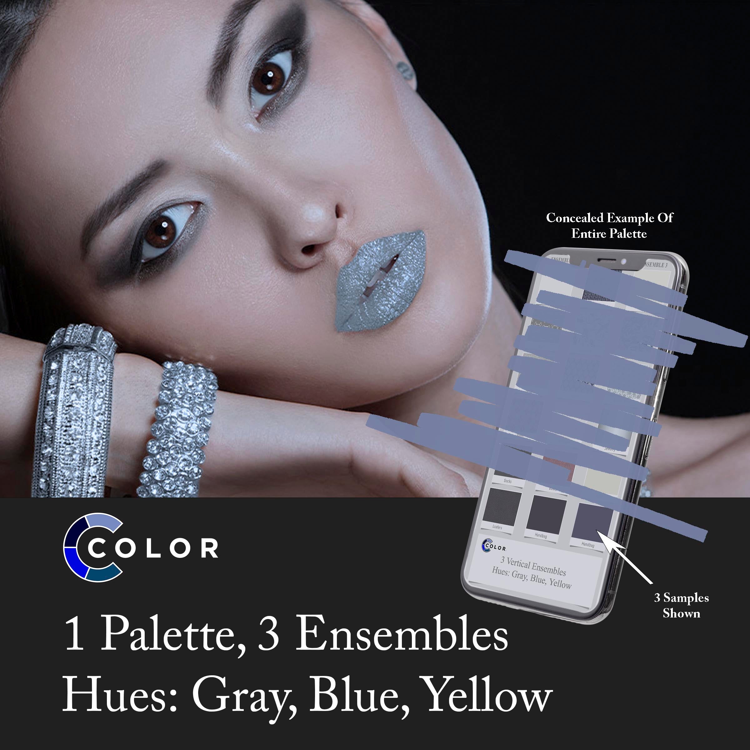 Gray, Blue, Yellow Palette – C Color Online Store